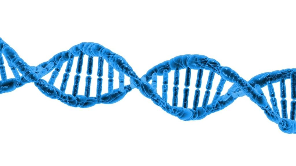 Could this DNA-guided CRISPR cure diseases without damaging your genome?