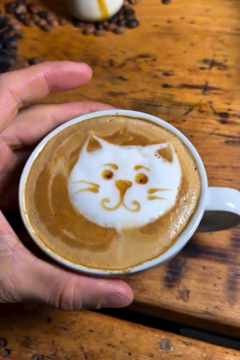 Cute cat latte art coffee