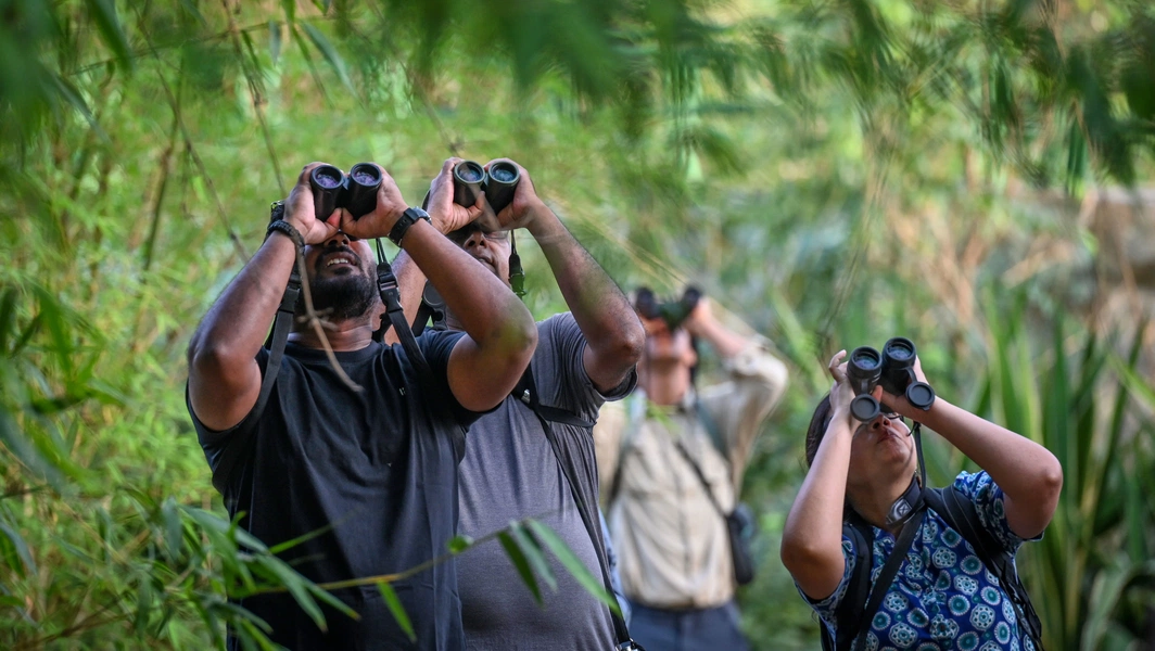 How everyday people are helping wildlife conservation