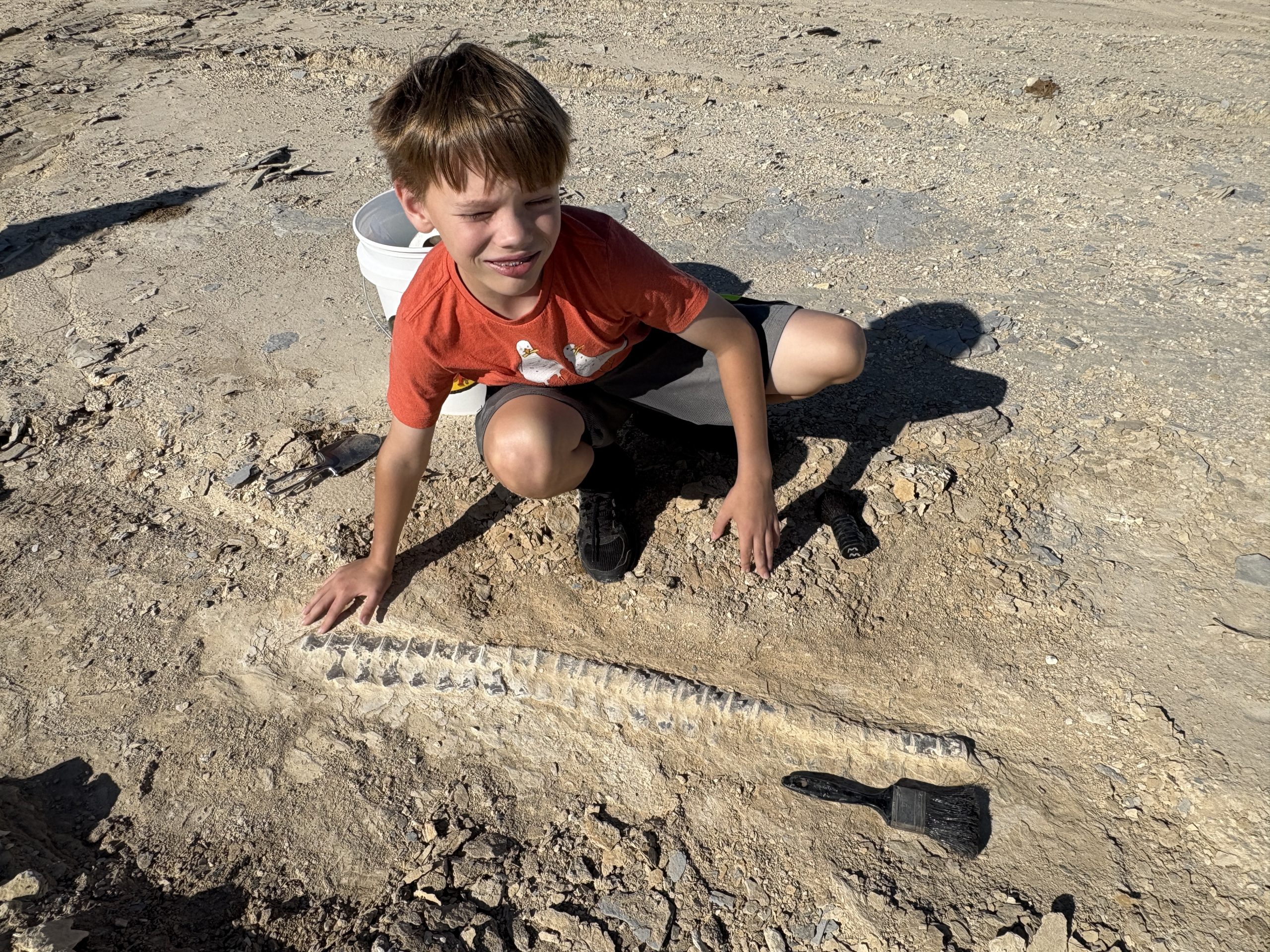 Kansas boy discovers rare 80-million-year-old fossil during field trip
