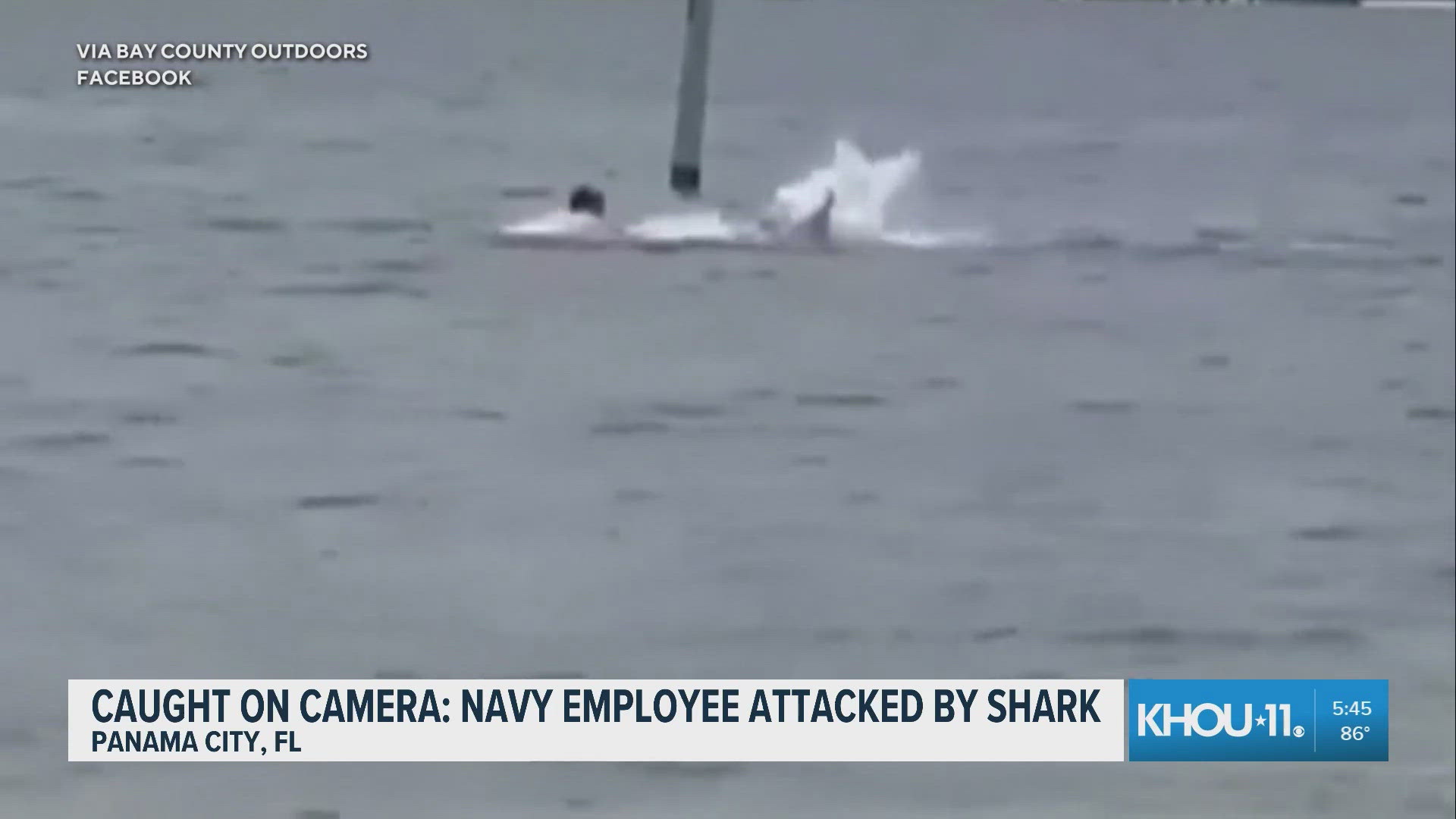 Florida man in critical condition after shark attack on camera