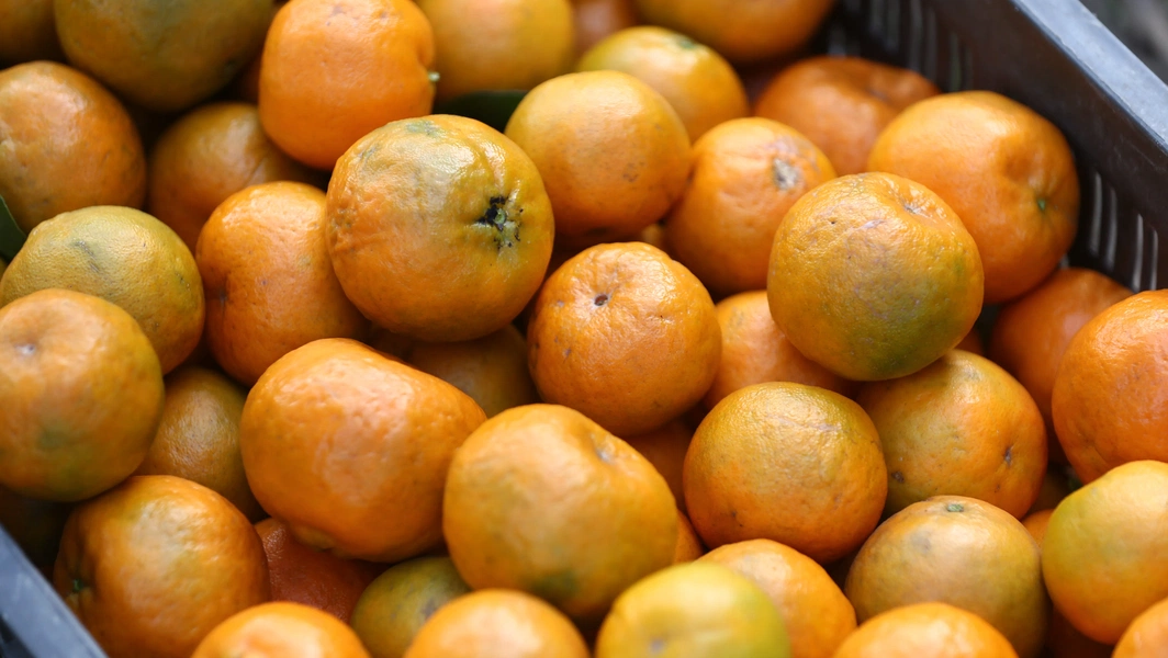 Citrus juice secrets for health and flavor