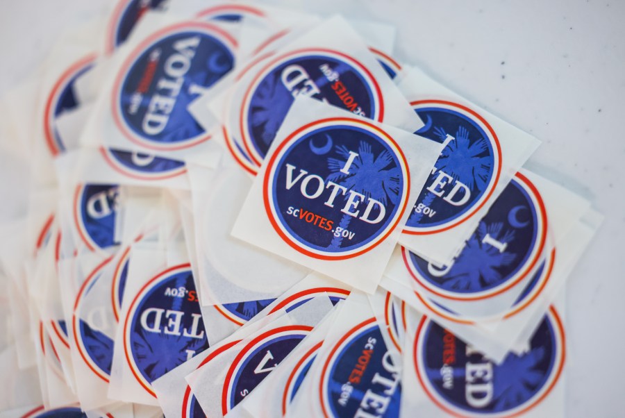 Georgia runoff election day arrives as Chatham County voters adjust to ...