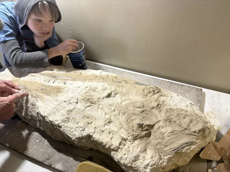 Kansas boy discovers rare 80-million-year-old fossil during field trip