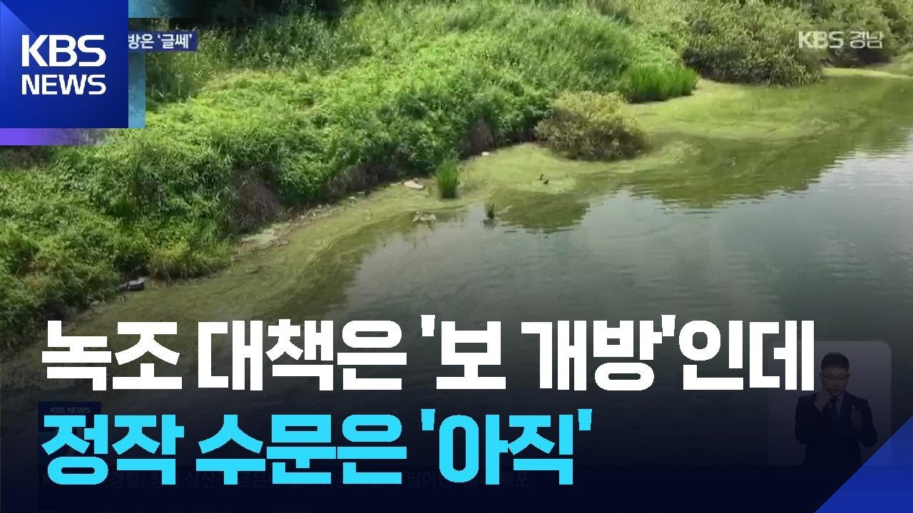 낙동강 하류 첫 조류경보…보 개방은 '미정' / KBS 2026.06.09.