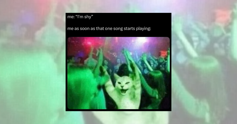 Burning up the dancefloor with 22 dancing memes featuring a wild DJ who ...