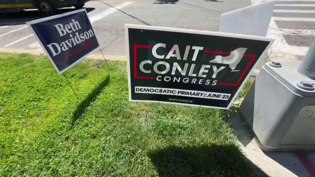 5 Democrats are gunning for Rep. Mike Lawler's seat in New York's 17th ...