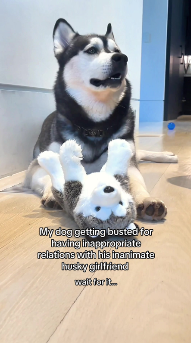 Husky moments you just can’t explain