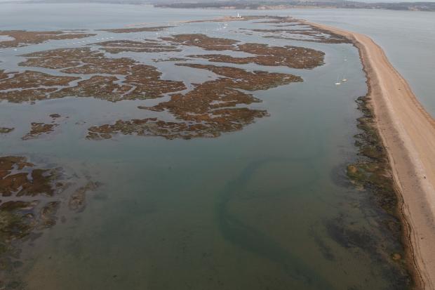 Draft coast strategy for Hurst Spit and Lymington unveiled