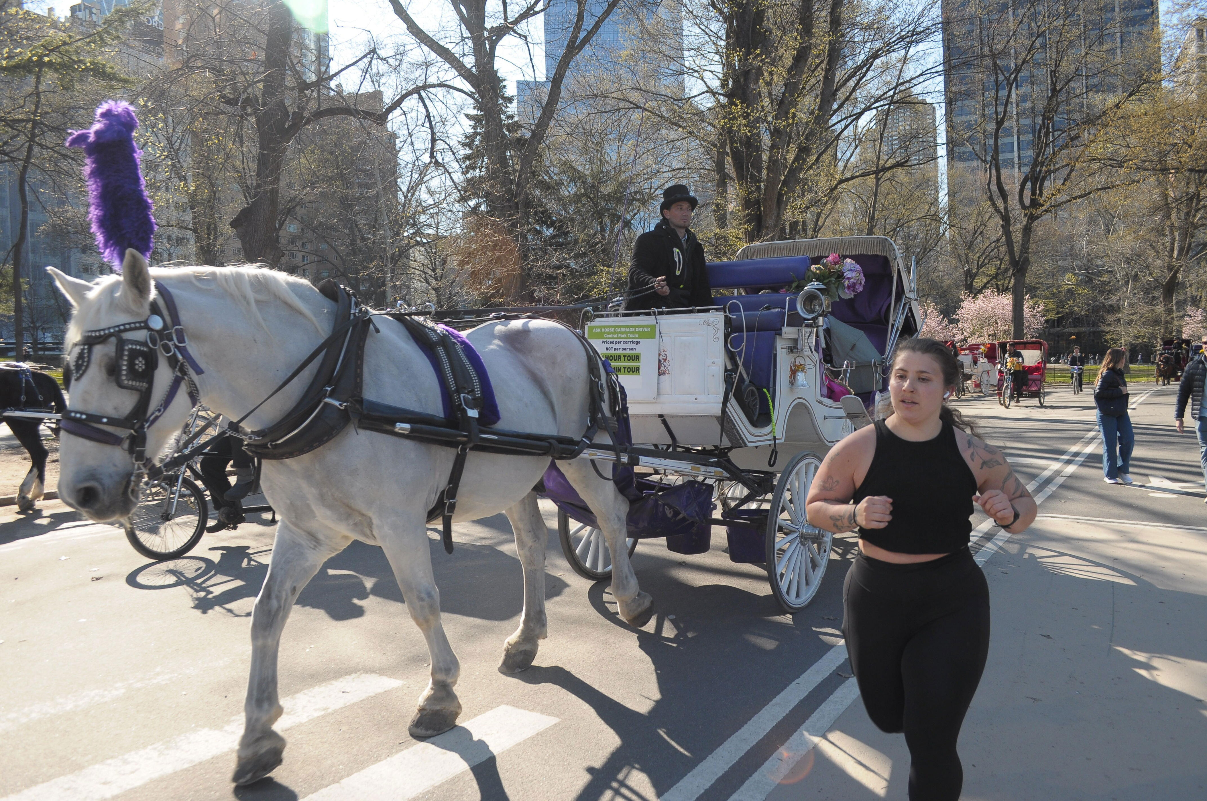 Koetspaard stort in en bezwijkt in Central Park nadat het toeristen ...