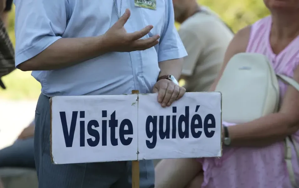 Boomers least interested in escorted group tours, survey shows