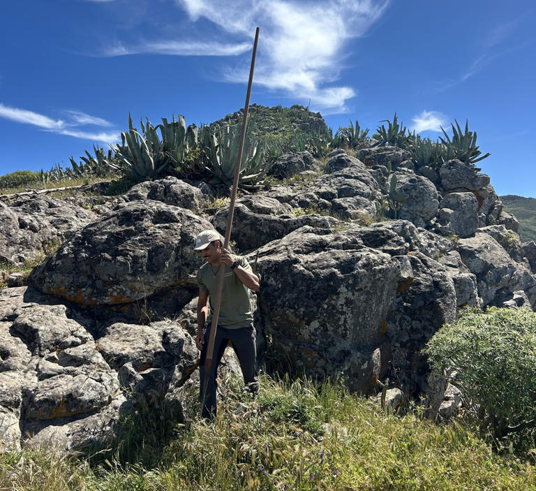 I discovered the 'unmissable' side of Tenerife I never knew existed