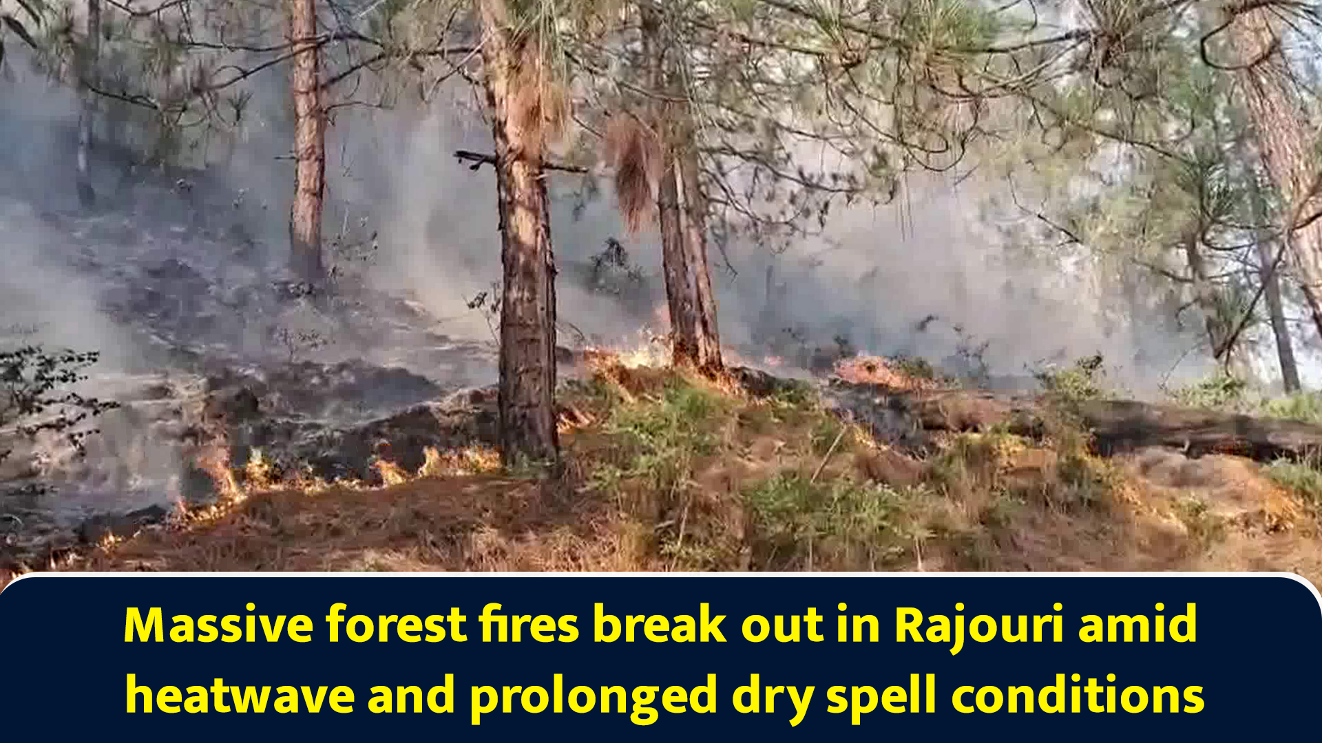Massive forest fires break out in Rajouri amid heatwave and prolonged ...