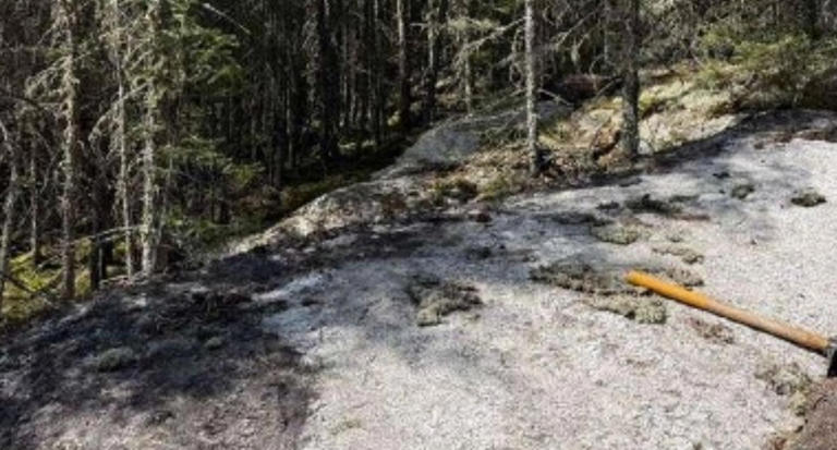 Critical Resources identifies 14 pegmatite targets at Mavis Lake ...