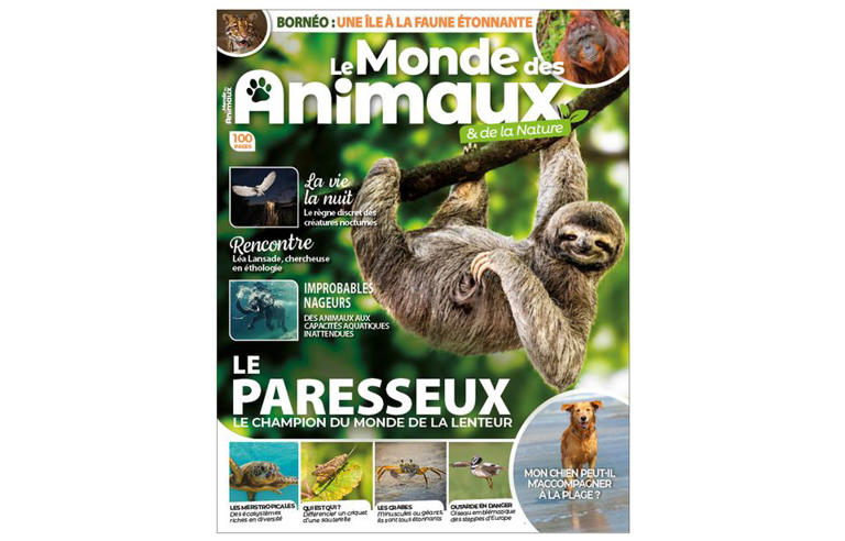 Comment font-ils pour survivre sans boire ? Le secret des animaux du désert