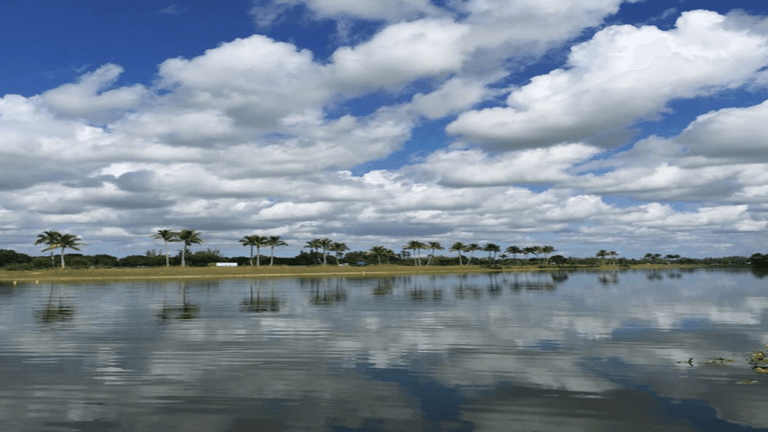 Rain chances gradually increase into the weekend