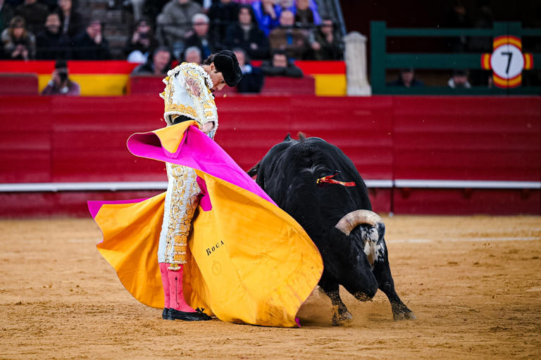 Roca Rey y Morante, reclamos de la Feria de Julio y de final de campaña ...