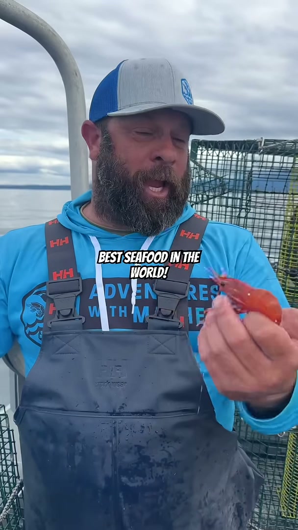 Spot prawns might just be the best seafood the Pacific Northwest has to ...