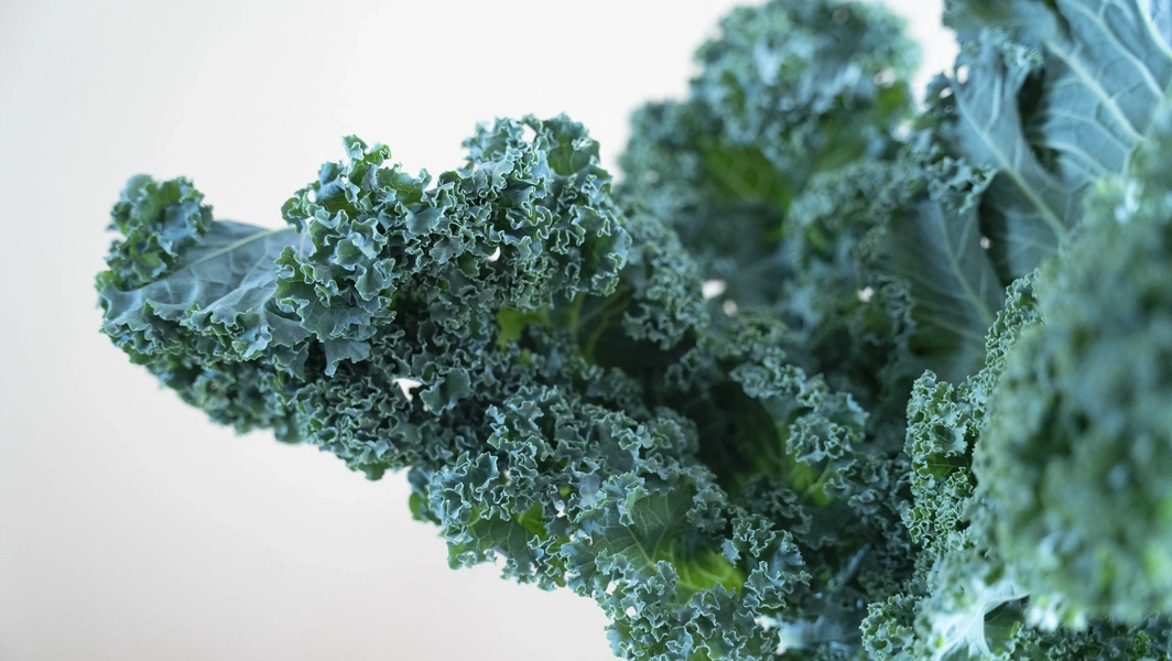 19 vegetables to replace for better nutrition