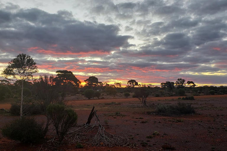 A meteorite impact may have once rained gold on Western Australia – new ...