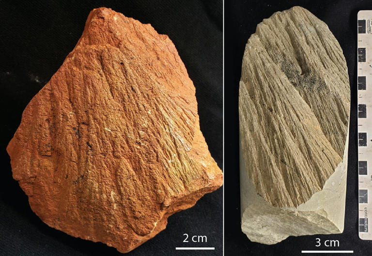 A meteorite impact may have once rained gold on Western Australia – new ...