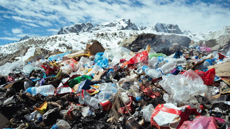 Delhi waste treatment push: Bhalswa, Okhla, Ghazipur to get new waste ...
