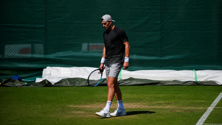 Jack Draper postpones Queen's comeback despite Andy Murray arrival