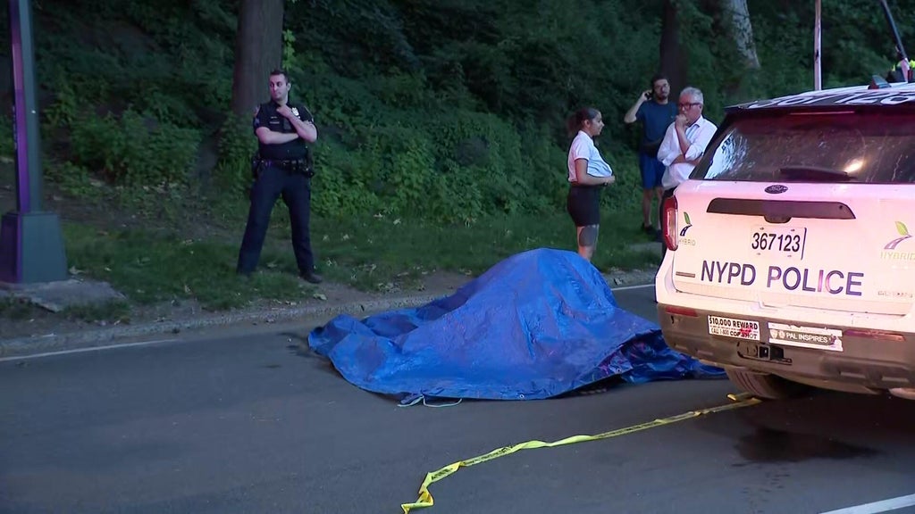 Carriage horse collapses, dies in Central Park, renewing calls to ban ...