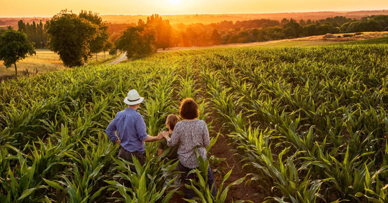 Independent producers in Illinois push back on Farm Bill