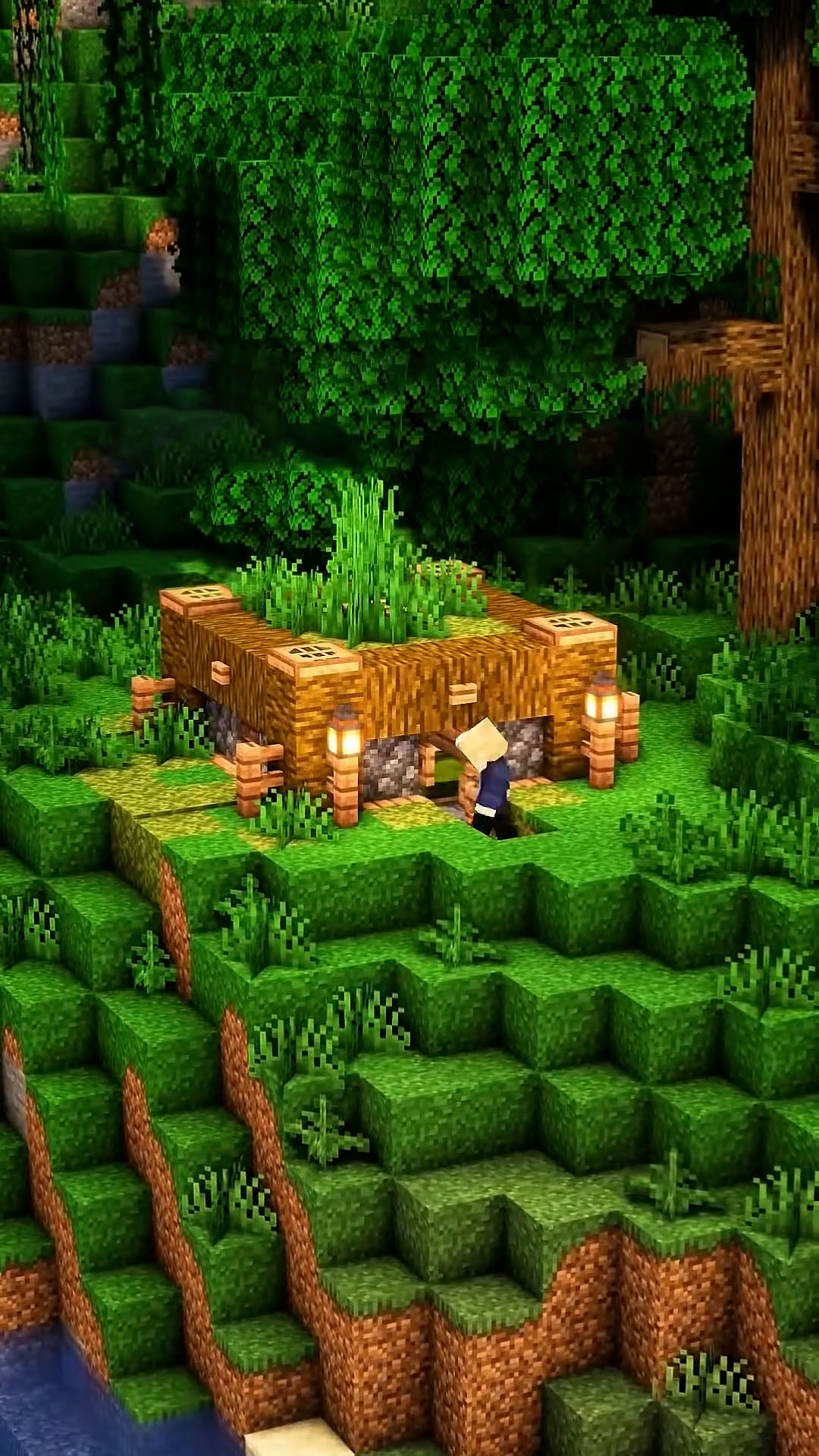 Hidden Minecraft survival base built under grass and leaves