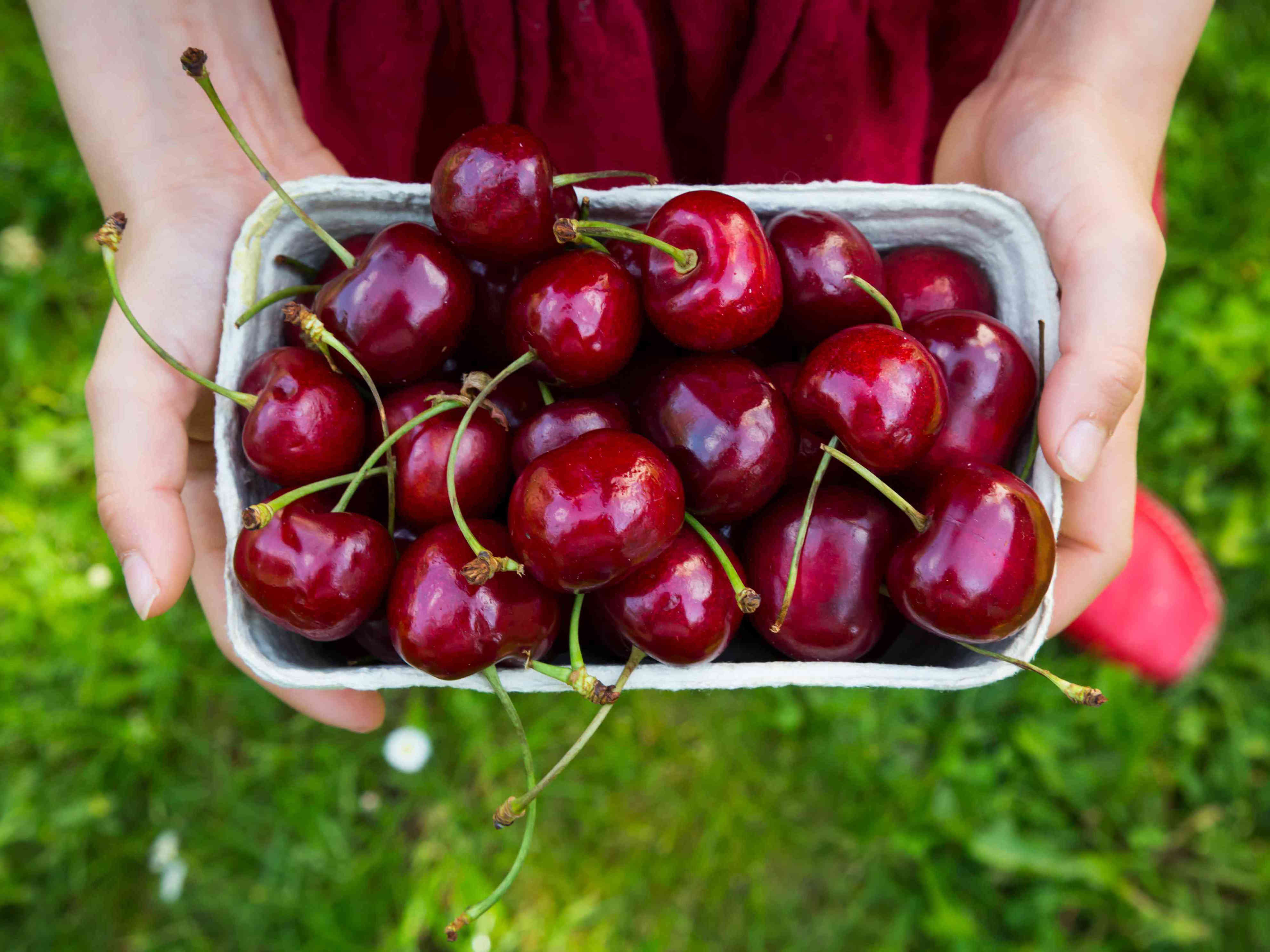 The best 1-ingredient upgrade for cherries