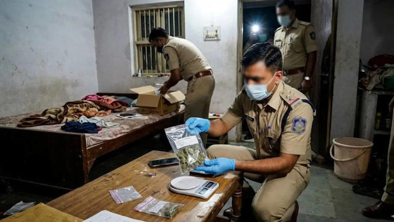 Live-in couple's fight leads Gujarat cops to hidden ganja stash