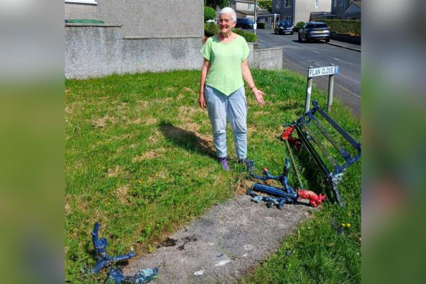 Councillor calls for 20mph speed restrictions after vehicle destroys ...