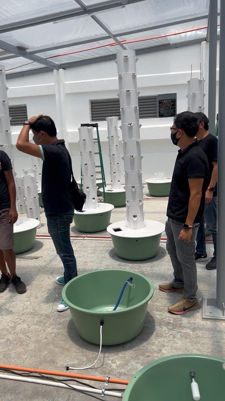 Rooftop garden setup in Malate office with vertical farming towers