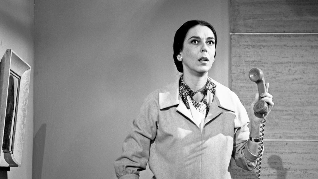 14 forgotten TV shows of the 1960s