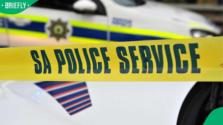 Gauteng mass shooting leaves 12 people dead as police launch manhunt ...