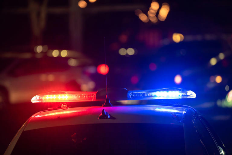 Florida sisters, 5 and 8, found dead in neighbor's pool