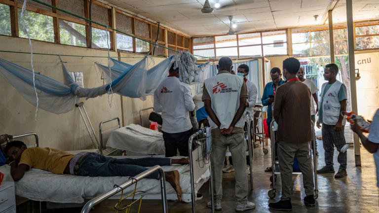 MSF combate flagelo na Etiópia: "A mordedura de cobra é uma emergência ...