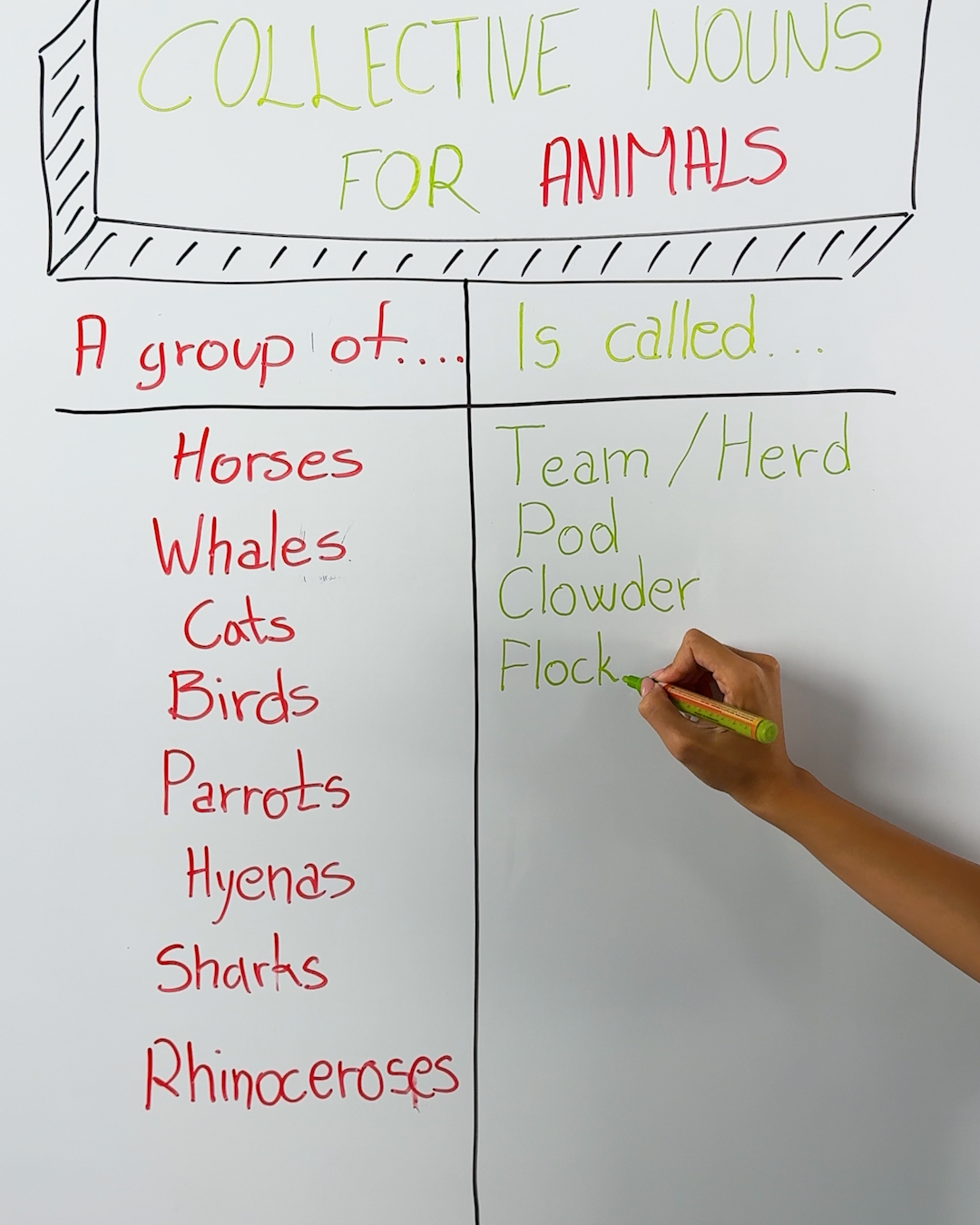 What is a group of animals called...