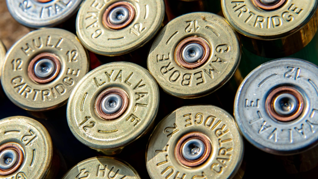 8 Firearms Types Experienced Buyers Commonly Avoid