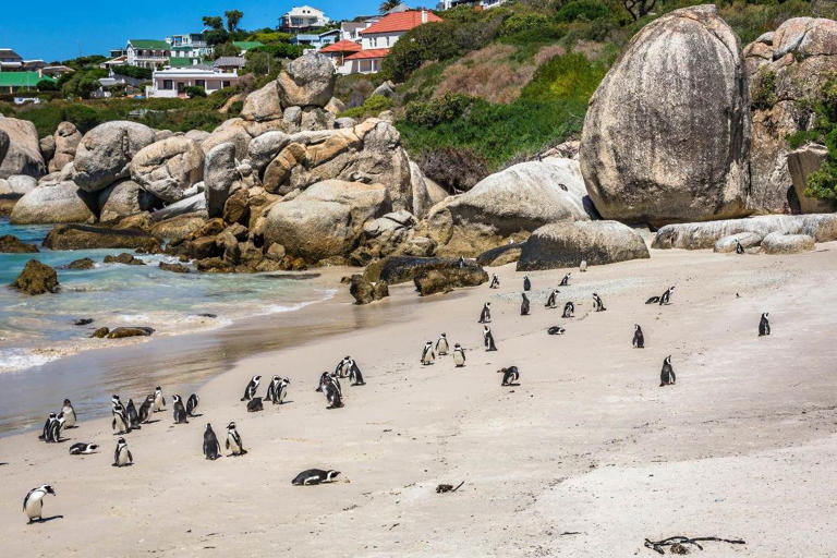 Four Western Cape beaches land on world’s best beaches list