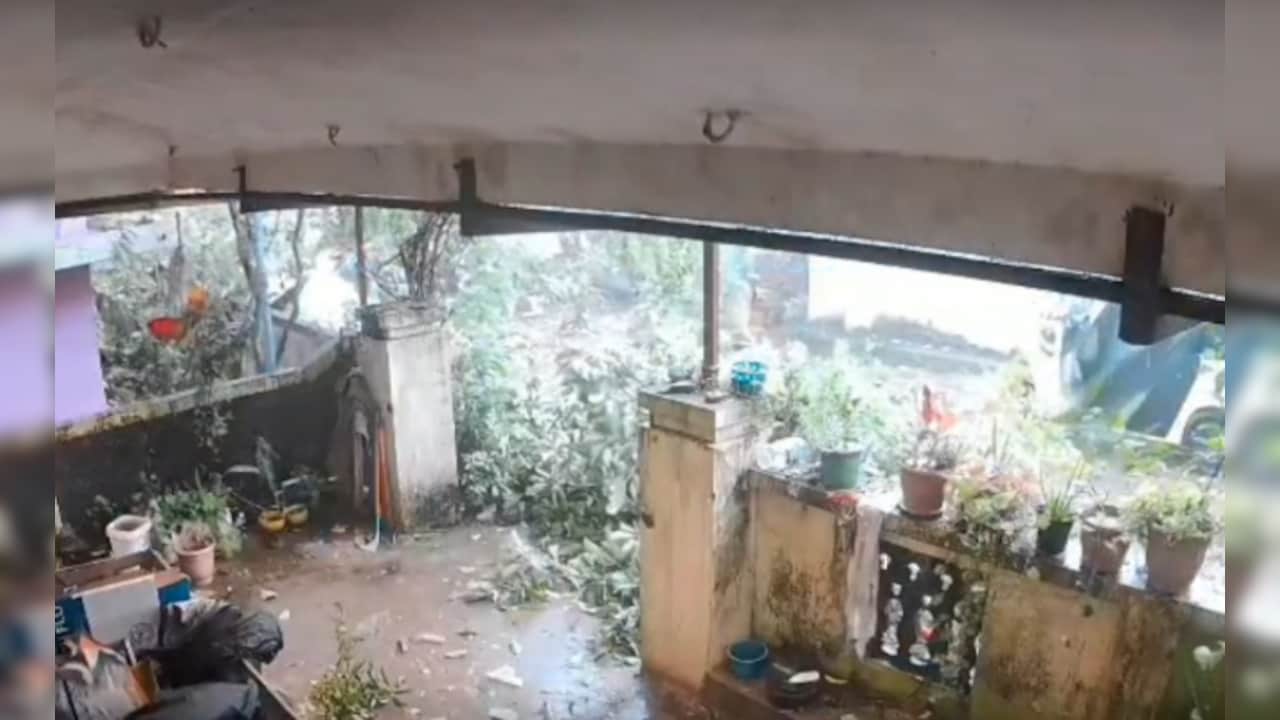 Video: Driver, 10 children escape unhurt as winds uproot trees in Kerala