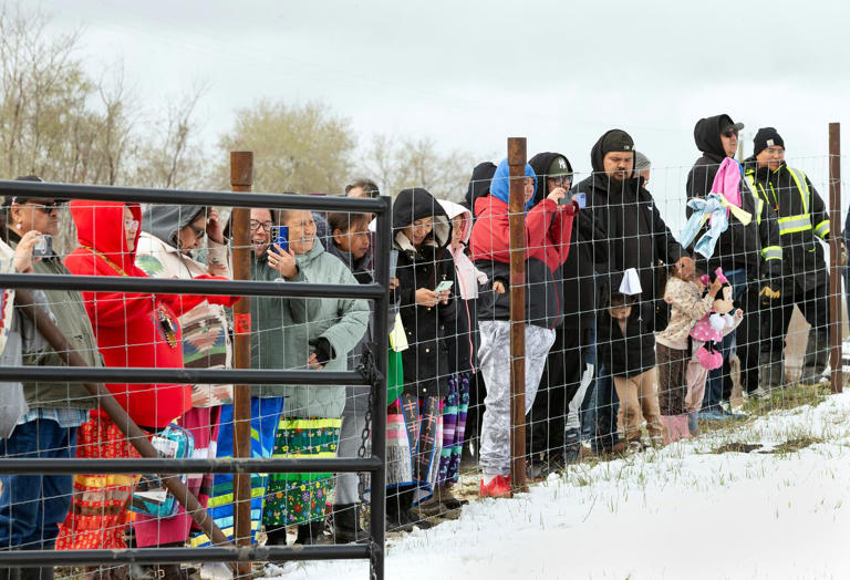 Star Blanket Cree Nation welcomes return of bison with new herd