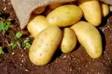 Potrawy z makaronem. Zobacz TOP 10 przepisów na pyszne dania z ...