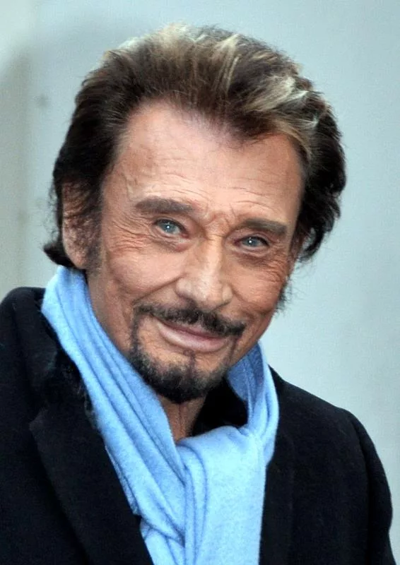 Johnny Hallyday et Patrick Bruel : pourquoi leur duo s’est arrêté net