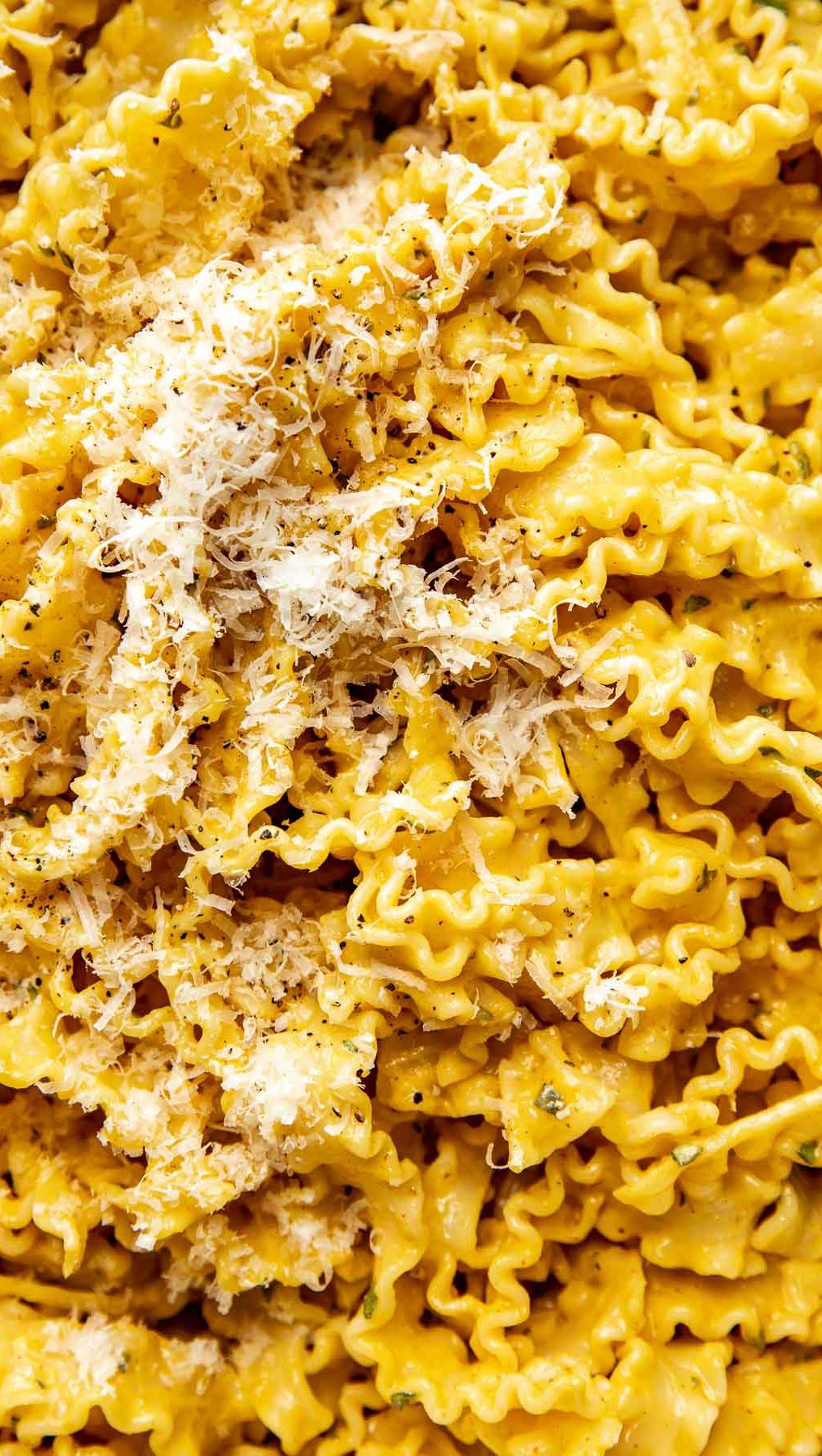 Creamy pumpkin pasta cacio e pepe style recipe