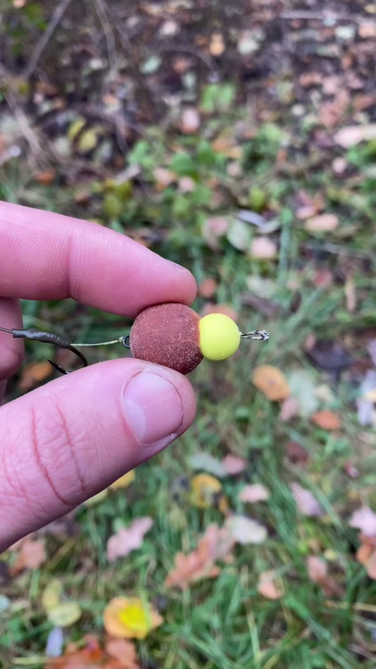 Carp fishing adventure and tips