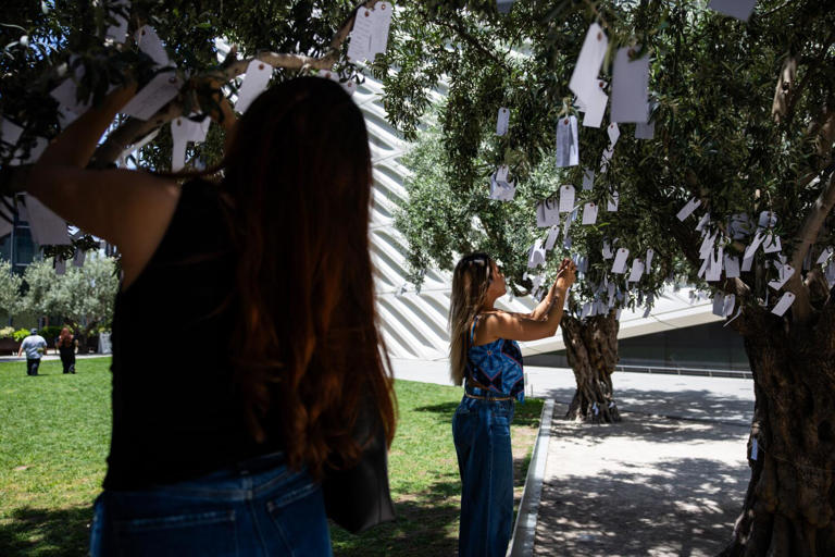 500 LA wishes a day: Behind the massive 'harvest' at Yoko Ono's 'Wish ...