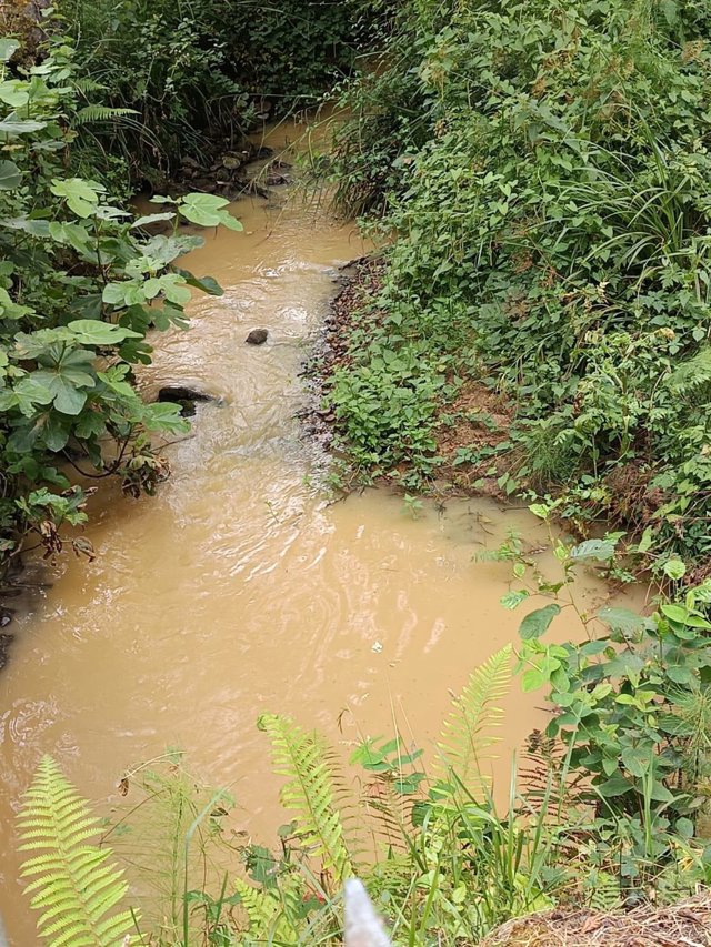 Ecologistas vuelven a denunciar ante la CHC vertidos en el río Aboño a ...