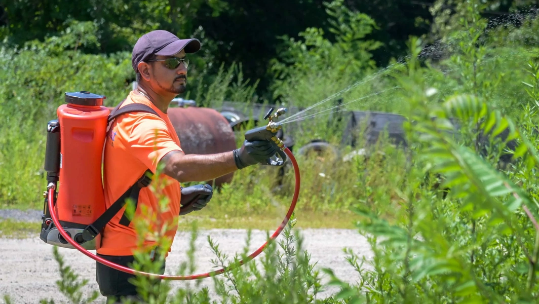 5 Harbor Freight tools perfect for summer projects